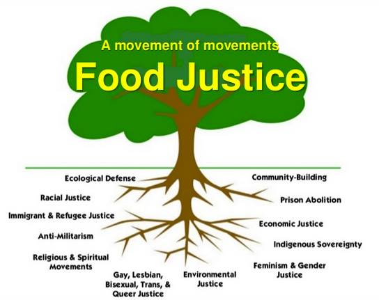 What is Food Justice? | Our Kitchen Table